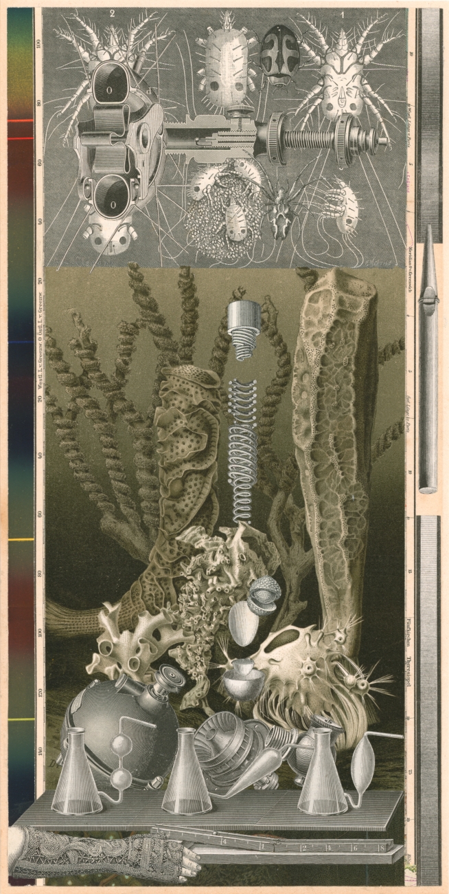 Tribute to Herbert W. Franke